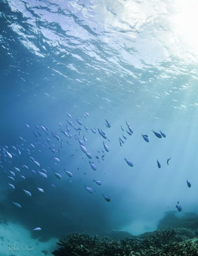 📷 OneBreathOnePhoto #13 - ONE photo of ONE moment on ONE breath of...