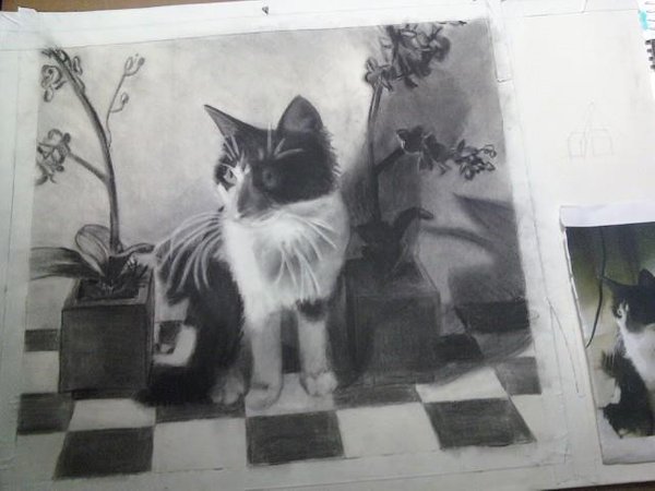 Charcoal Drawing of Kiki by Becky Steele