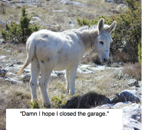 Meme challenge #8 - Entry #1