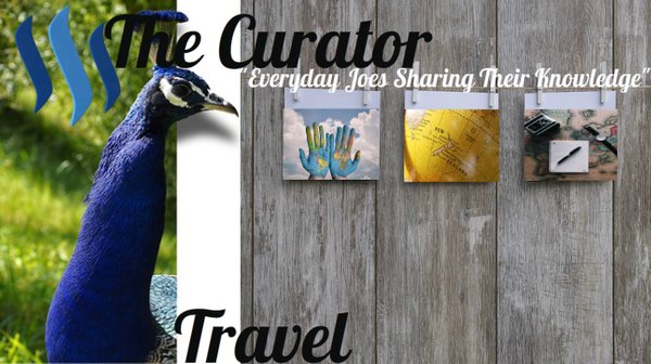 The Curator - Issue #9 - Travel