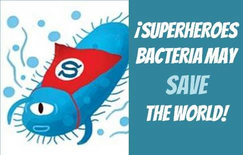 Know the bacteria that may end with plastic pollution