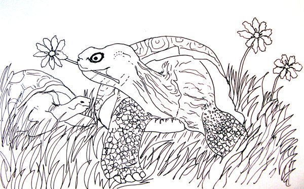 Tortoise And The Hare Coloring Pages [2025]