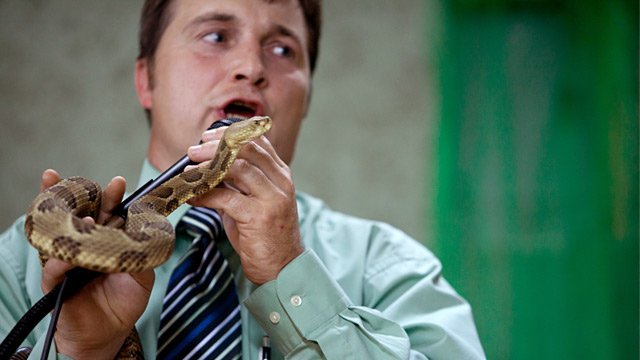 Snake Pastors: Can they Actually Safely Handle Venomous Snakes? — Steemit