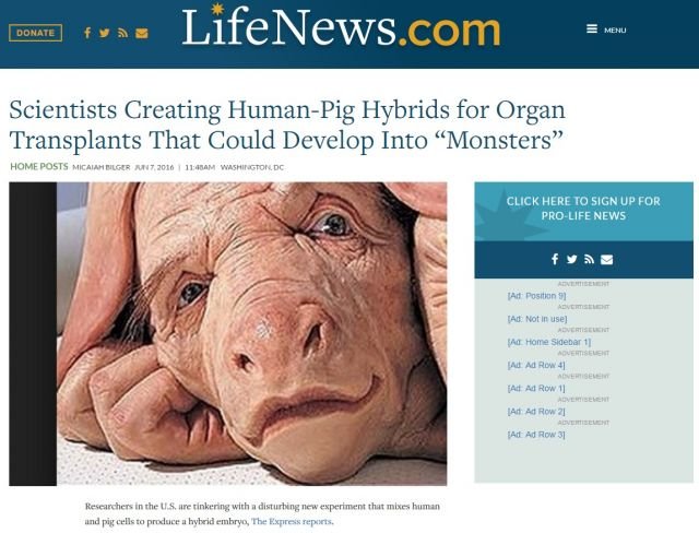 Hybrid Pig-Men! Nostradamus Saw an Event at the Time of Nibiru that ...