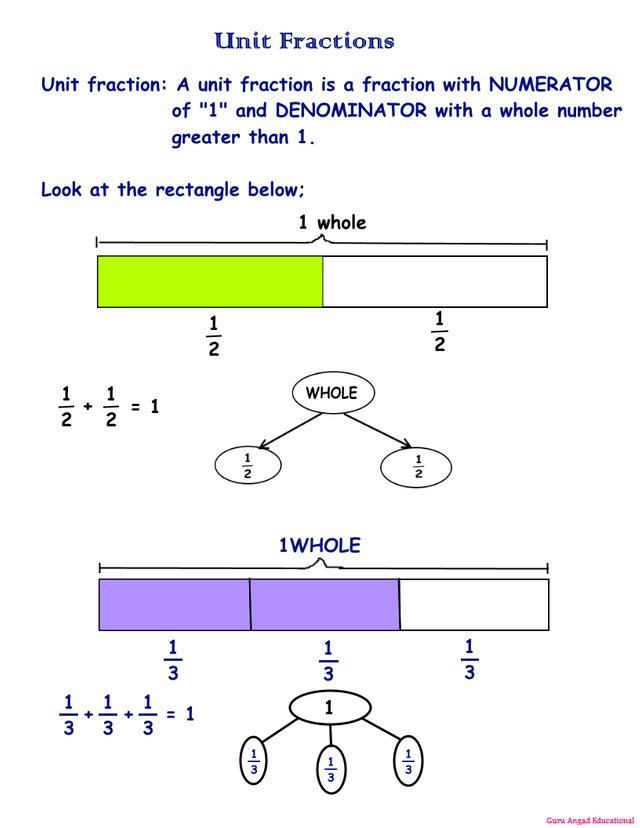 Unit Fraction