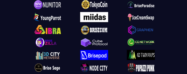 Rice Protocol: Powering DeFi & NFTs On Bitgert Blockchain Network