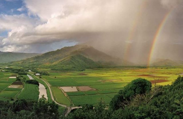 My tagalog poem about "Nature".... — Steemit