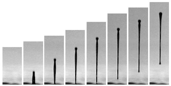 The interesting world of microseconds — Steemit