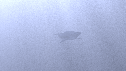 Finding Nemo Whale Scene