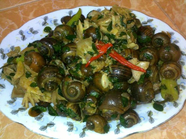 Snail in Coconut Milk ( Ginataang Suso in Filipino) — Steemit
