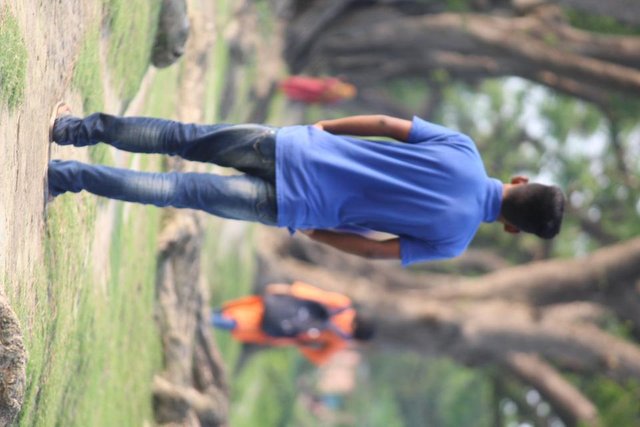 It's my body's back side — Steemit