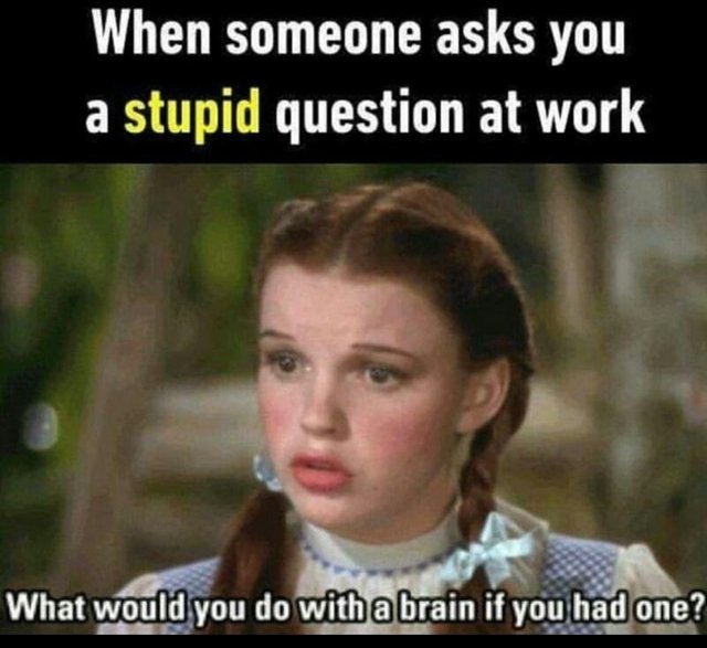 Silly Question Memes TOP TIP 49: Ask A Stupid Question Day Have You