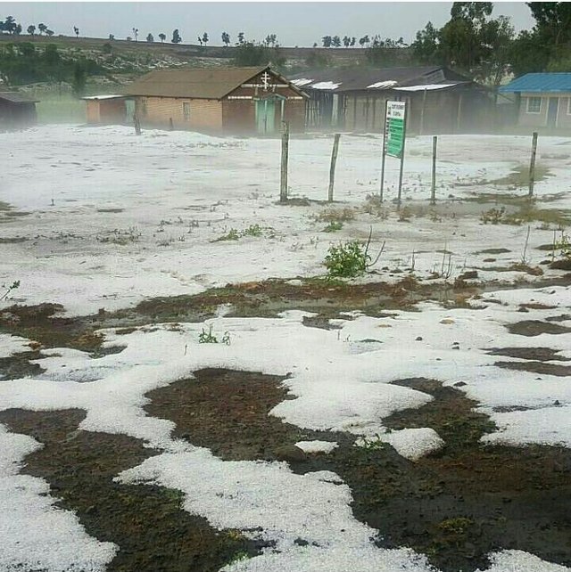 Snow in Kenya Africa! — Steemit