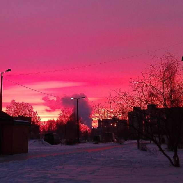 The pink sunrise in cold weather — Steemit