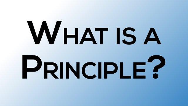 What is a Principle? — Steemit