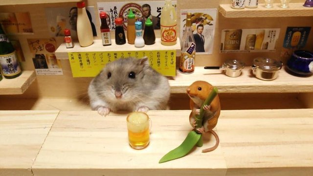 Beer Hamster