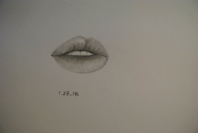 Black Lips Drawing Reference - Infoupdate.org
