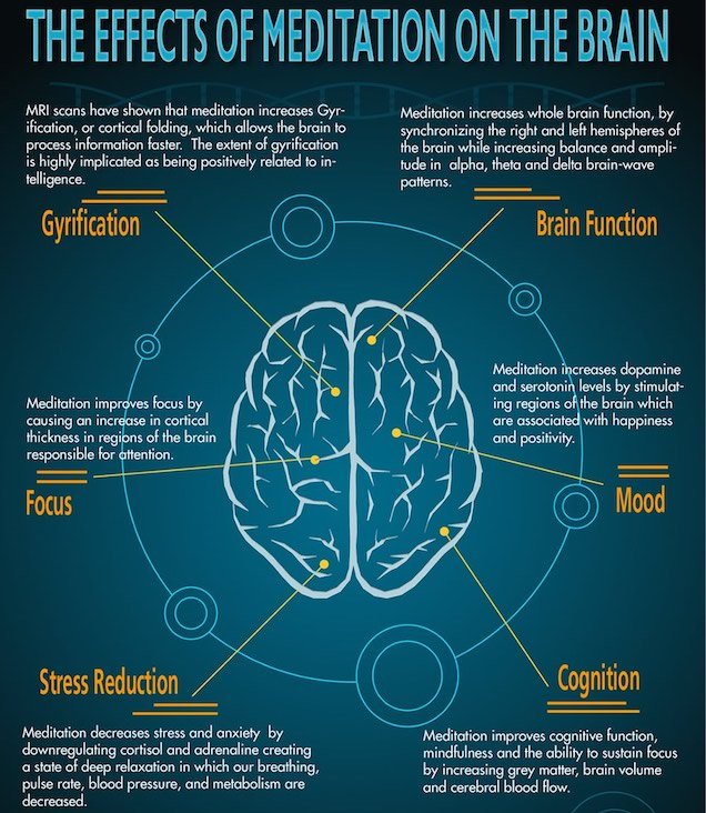 This Is How Meditation Literally Changes Your Brain! — Steemit