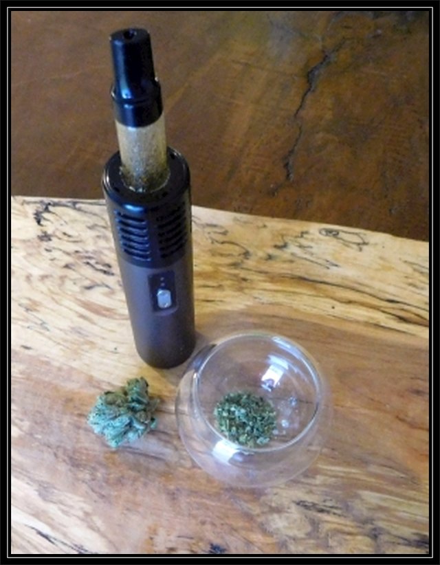 Alien Dawg ~ Strain Review — Steemit