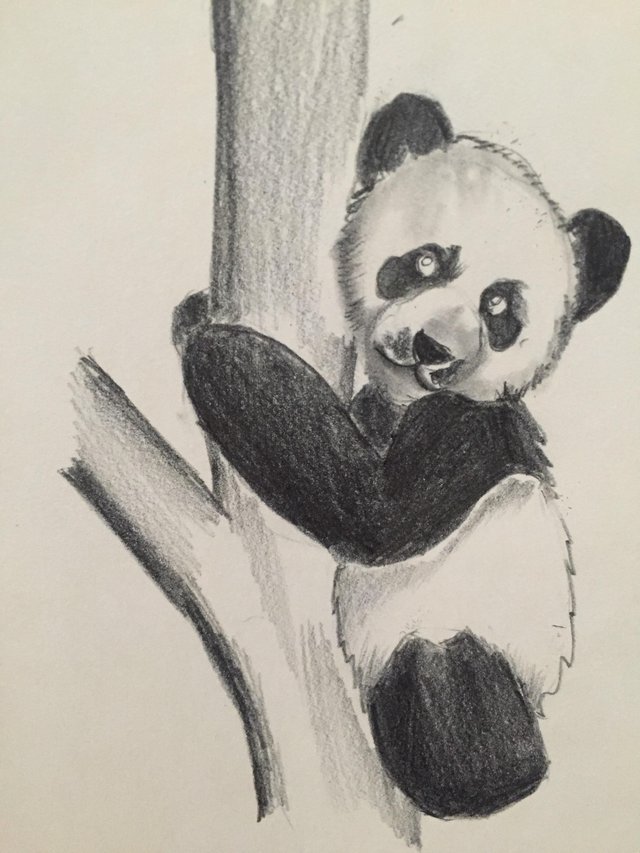 How To Draw A Cute Panda Bear