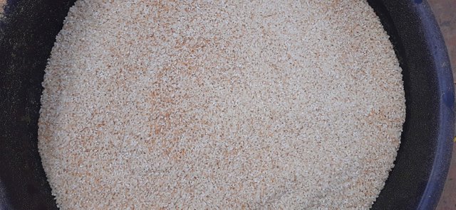 How to do paddy project in our village..