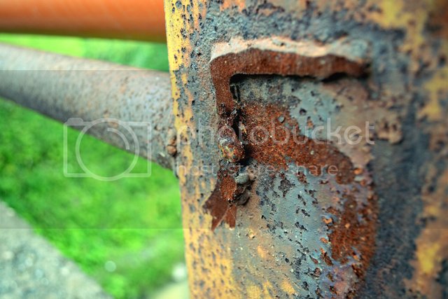 A Collection of Rust (13 original photos) — Steemit