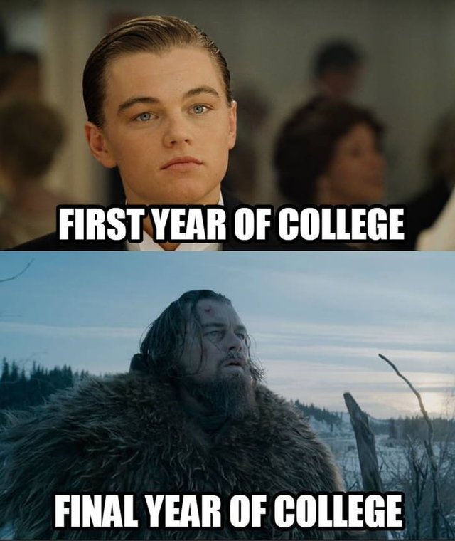 Applying To Grad School Meme