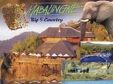 Mabalingwe Nature Reserve — Steemit