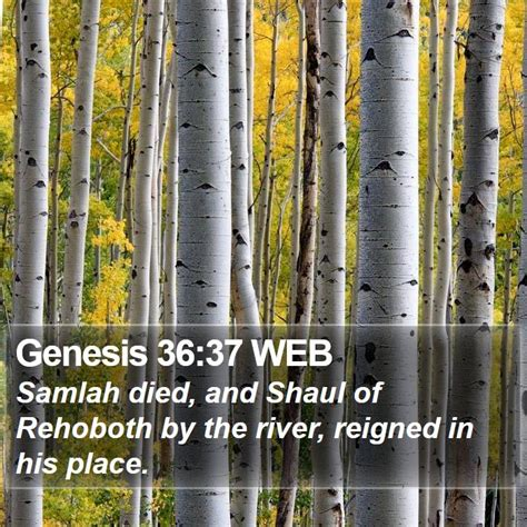 The language of ivrit ( עברית ) Genesis 36, Post #5