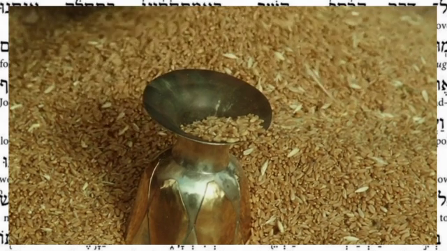 The language of ivrit ( עברית ) Genesis 44, Post #1