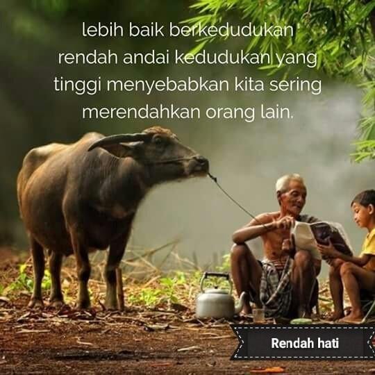 Memes Rendah Hati Tetap Rendah Hati