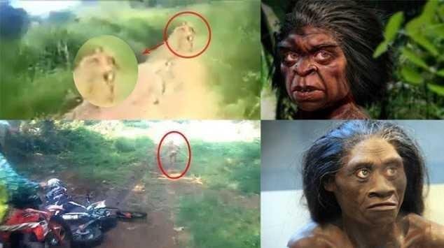 Tribe mante — Steemit