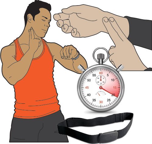Gym class activity | Measure your pulse rate — Steemit