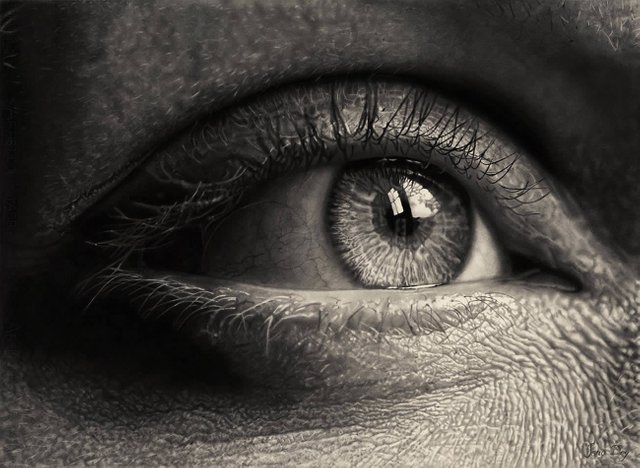 Realistic Snake Drawing Images How to draw a realistic snake snake ...