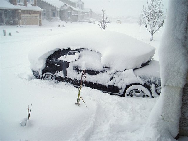 MAN AND NATURAL DISASTERS --- Blizzard; A Storm Of Unimaginable ...