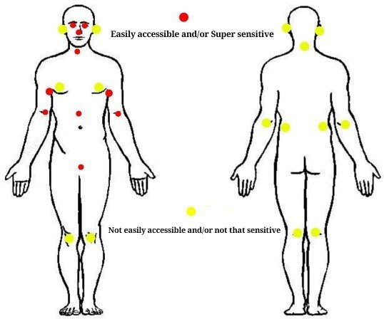 why are some body parts sensitive than others — Steemit