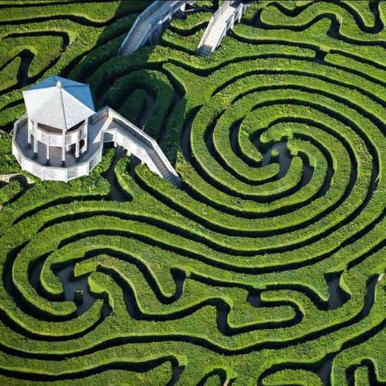 Real Maze