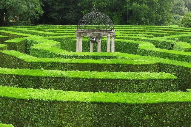 Real Maze