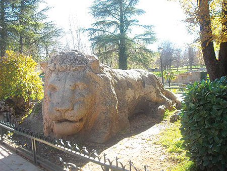 أسد افران المغرب # lion d'ifran maroc # — Steemit