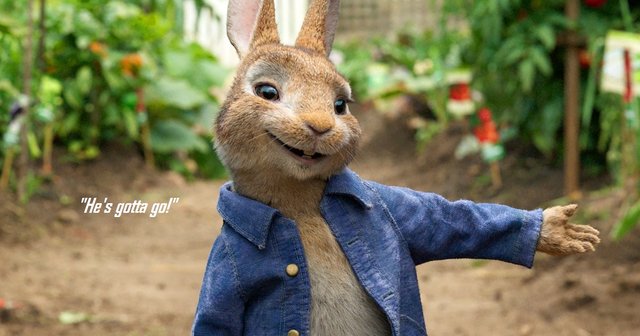 Review film 🎬 Peter Rabbit (2018) — Steemit
