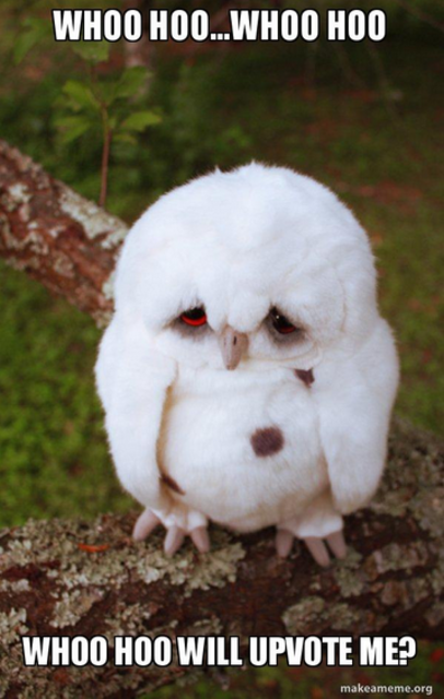 Whoo hoo - Steemit meme — Steemit