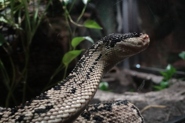 3 Venoms and 2 Tainted Weddings - Tragedy Strikes Downtown Wilmington ...