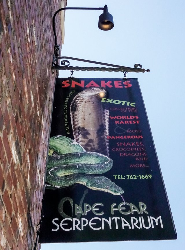 3 Venoms and 2 Tainted Weddings - Tragedy Strikes Downtown Wilmington ...