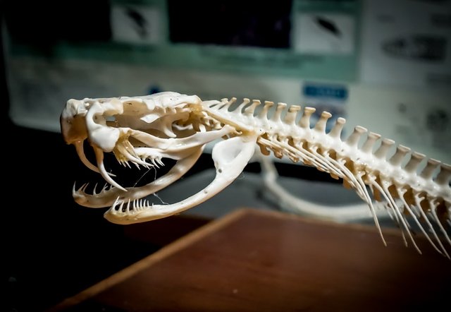 3 Venoms and 2 Tainted Weddings - Tragedy Strikes Downtown Wilmington ...