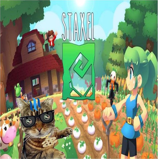 Staxel Review - airportfasr