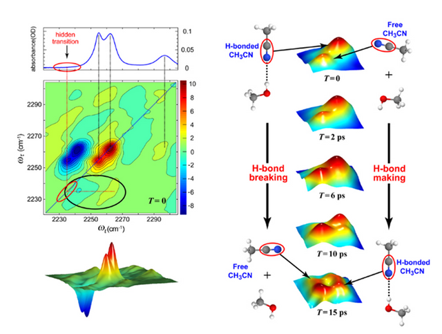 ESPECTROSCOPIA BIDIMENSIONAL (FTIR-2D) — Steemit