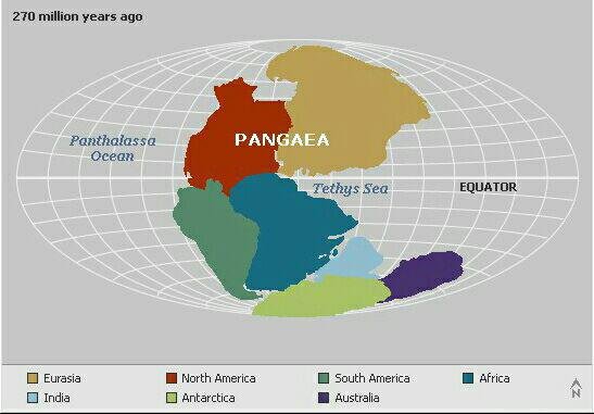 Theory of Earth Evolution — Steemit