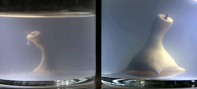 WHAT IS THAT!! HIDDEN SCIENCES: THE HOMUNCULUS + DOCUMENTED ON VIDEO ...