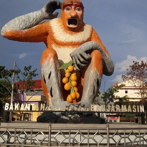 Bekantan merupakan maskot fauna provinsi Kalimantan Selatan — Steemit