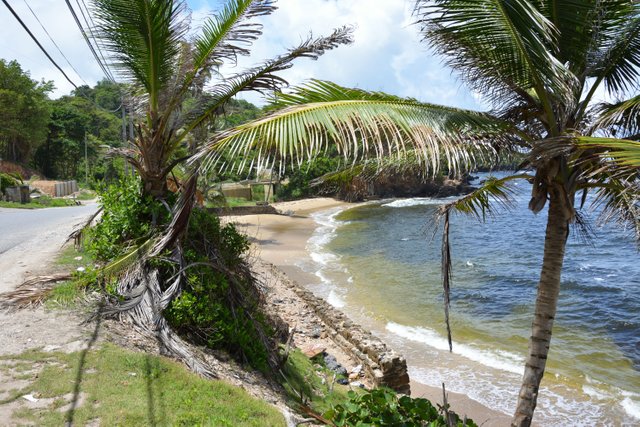 Visiting Toco Beach in Trinidad — Steemit